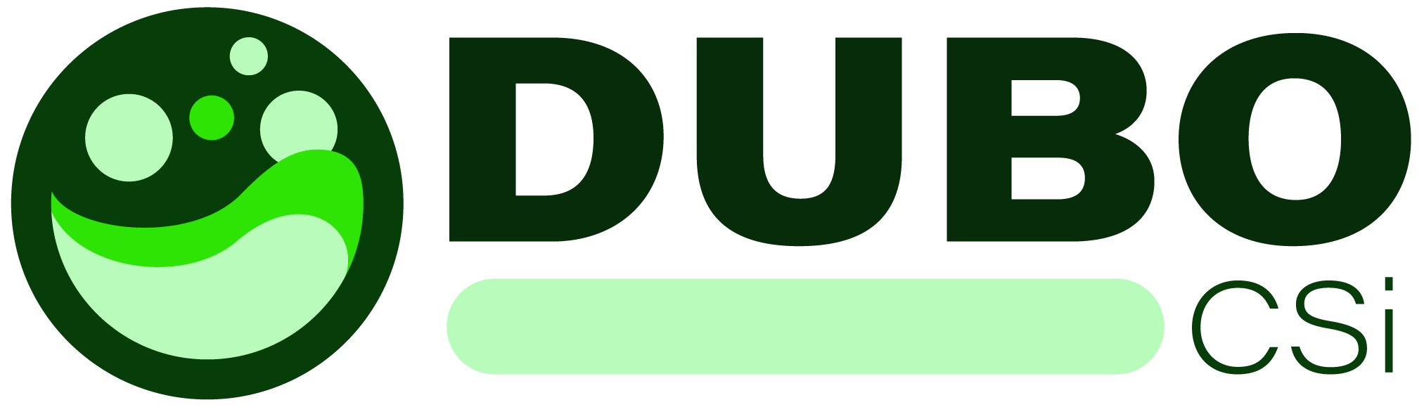 Dubo CSi – It's Not Clean Until it's Dubo Clean